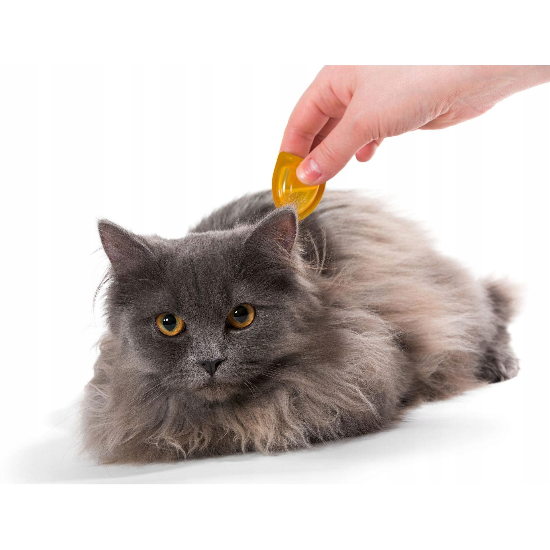 Picaturi anti capuse/purici, Canac, Pentru pisici, 6 doze - eMAG.ro