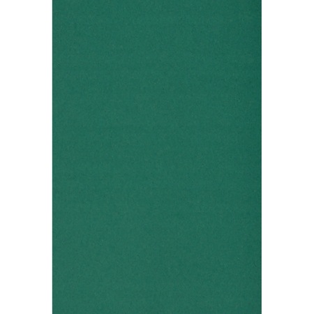 Set 10 coli hartie colorata, Netuno Burano, A3, 250g, Verde inchis ...