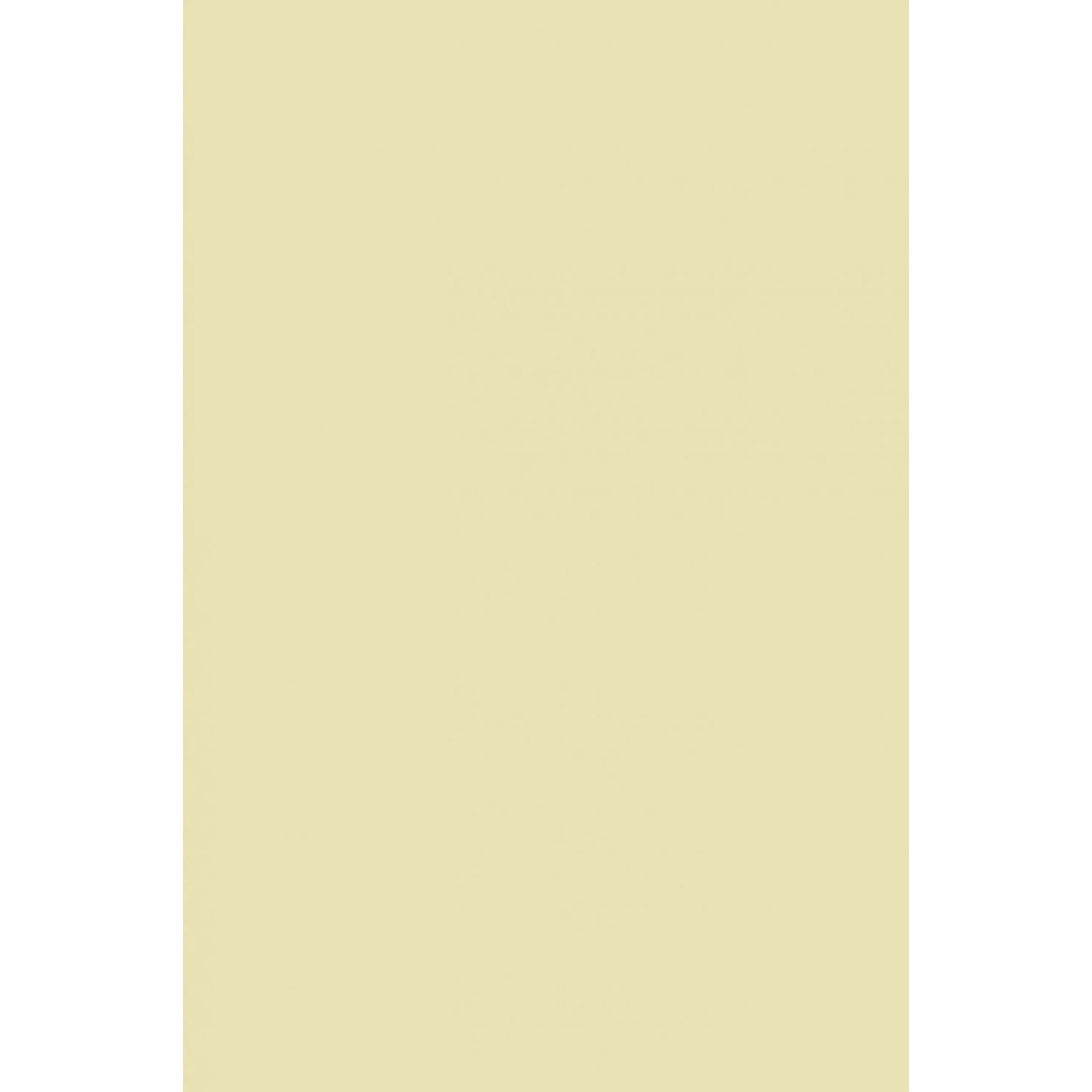 Hartie Splendorgel 300g Avorio ecru - 100A4 - eMAG.ro