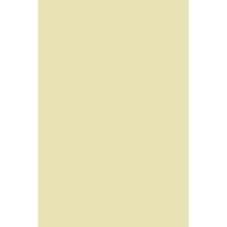 Hartie Splendorgel 300g Avorio ecru - 100A4 - eMAG.ro