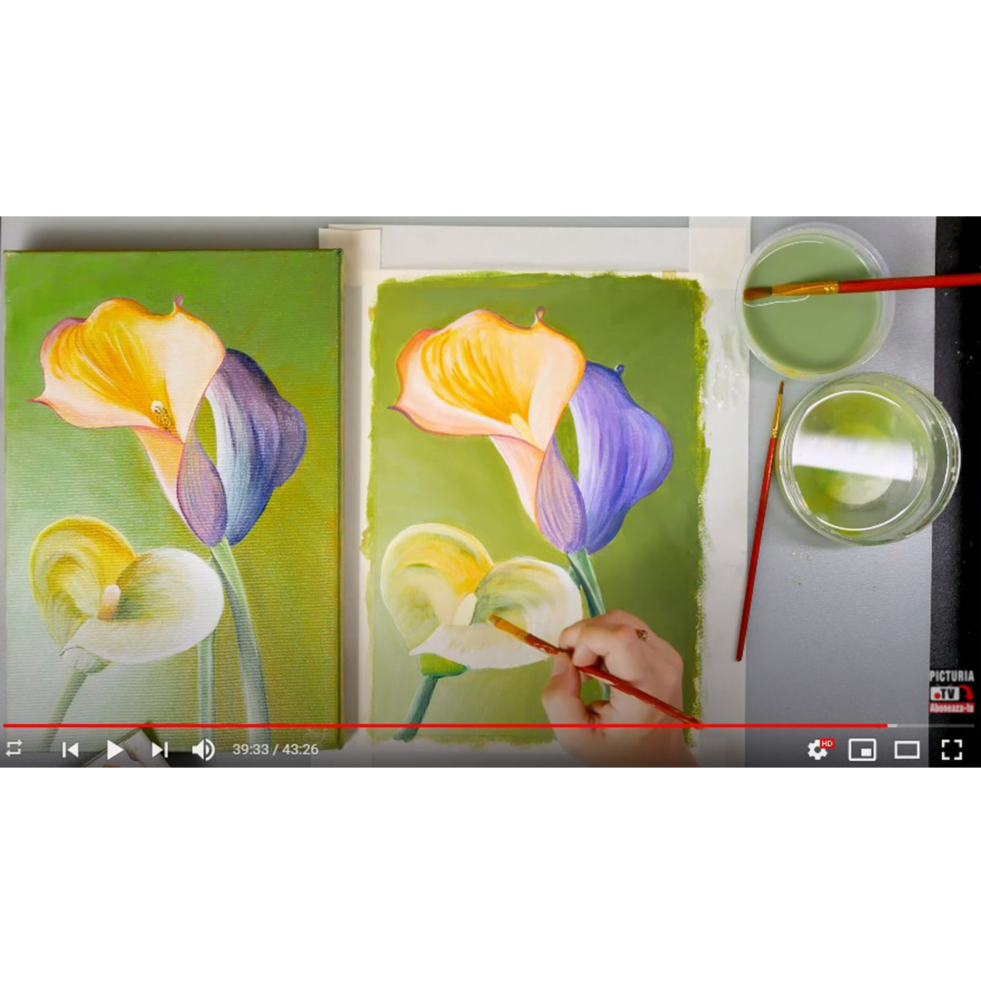 Curs de pictura - Pictura cu Acrilice, pachet DVD-uri - eMAG.ro