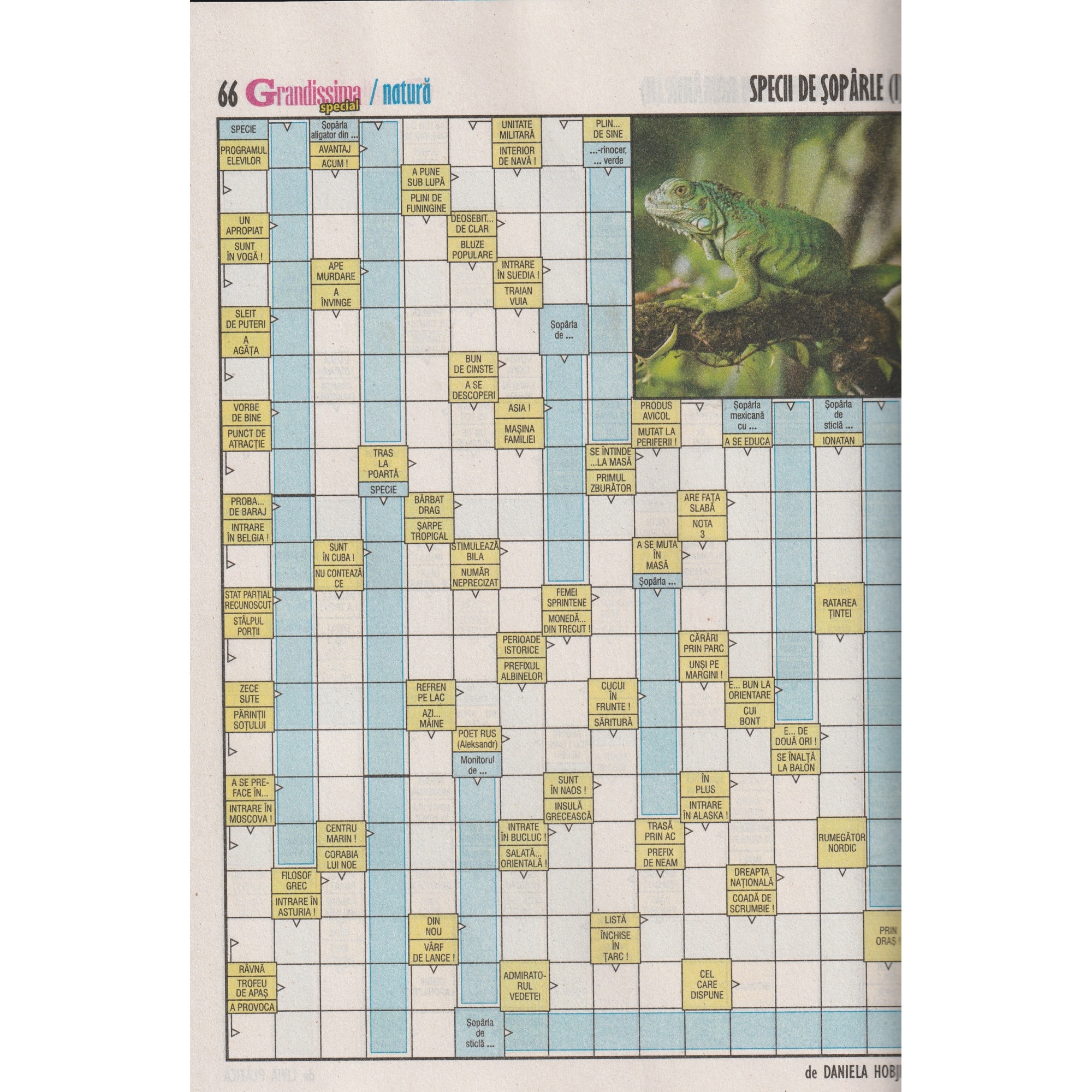 Integrame grandissima special 7 - nivel avansat - eMAG.ro