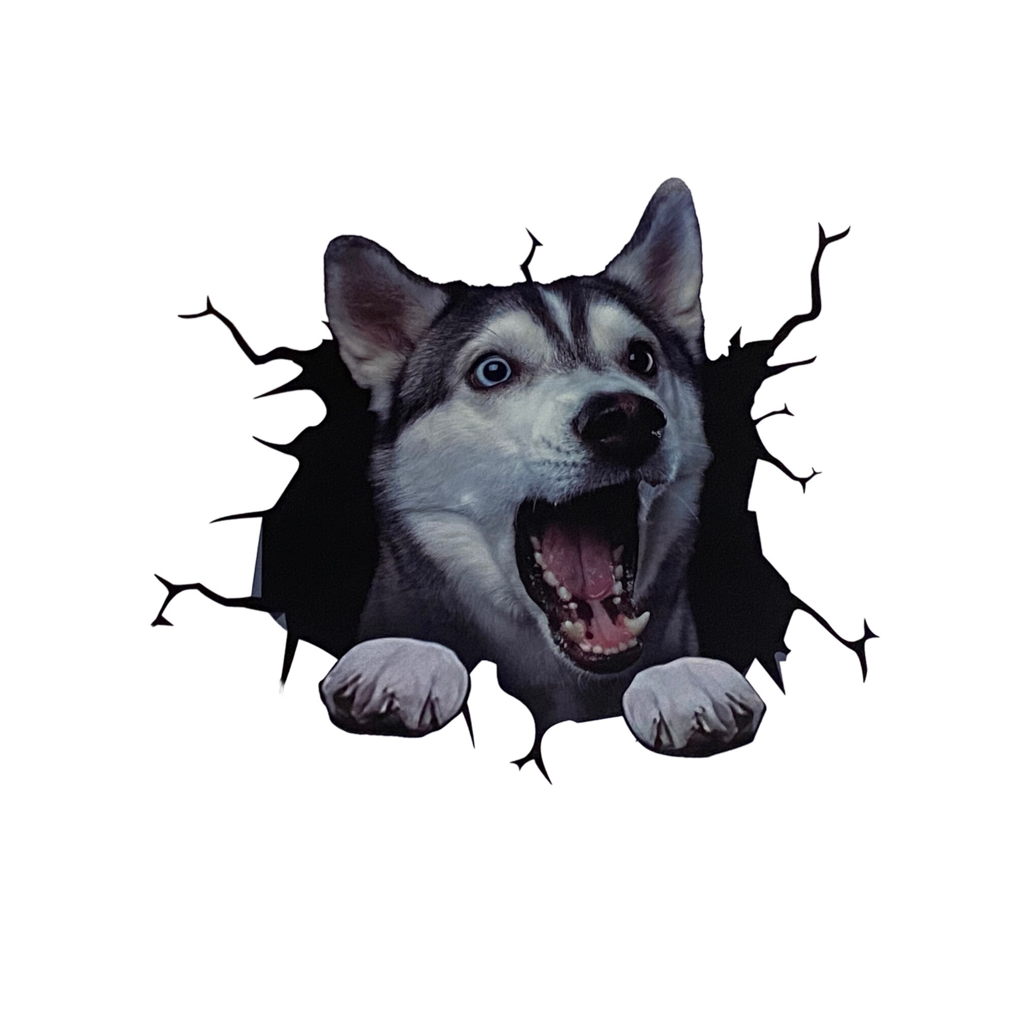 Abtibild luneta auto Lup, tip Sticker, 30 x 30 cm - eMAG.ro