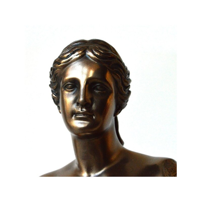 Statueta rasina si bronz "Venus din Milo" - eMAG.ro