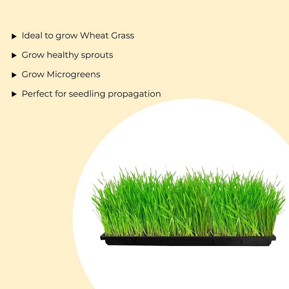 Tava pentru rasaduri, PVC, 54x28x7cm, Negru - eMAG.ro