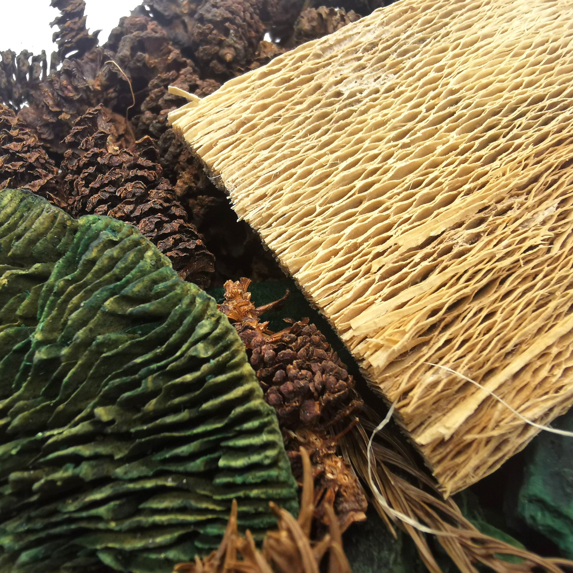Decoratiuni Flori Uscate, Parfumate, Pinewood,78861 - eMAG.ro