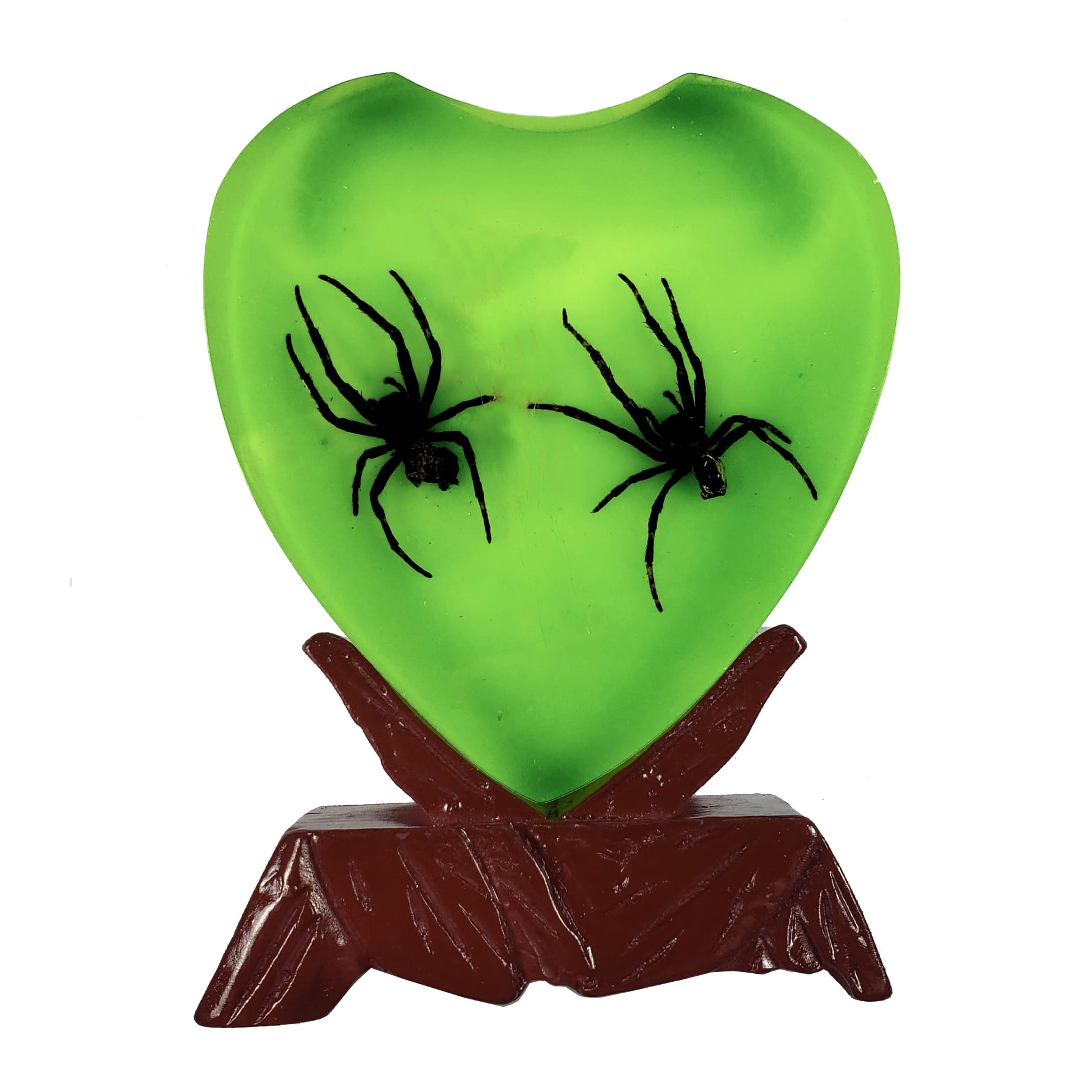 Insecte reale in rasina - Paianjen - eMAG.ro