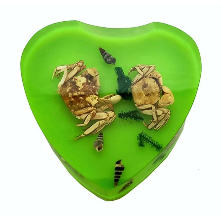 Insecte reale in rasina - Crabul de mazare - eMAG.ro