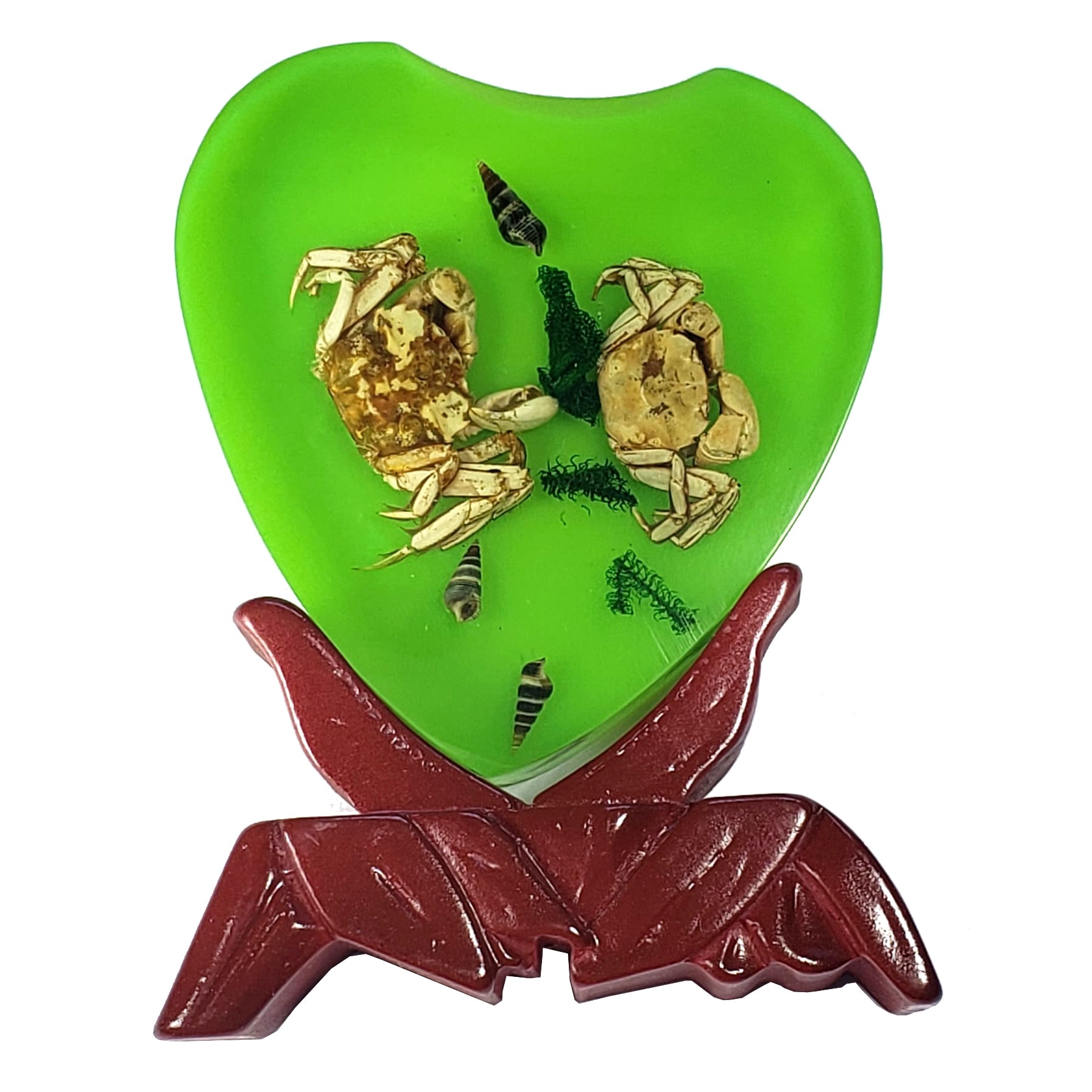 Insecte reale in rasina - Crabul de mazare - eMAG.ro