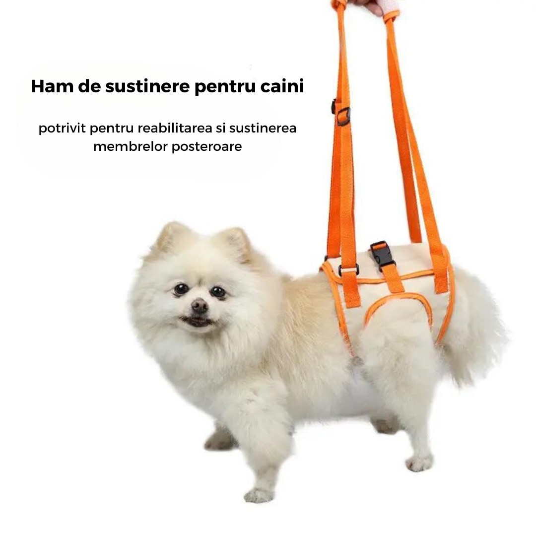 Ham de reabilitare pentru membrele posterioare pentru caini SHAW, S ...