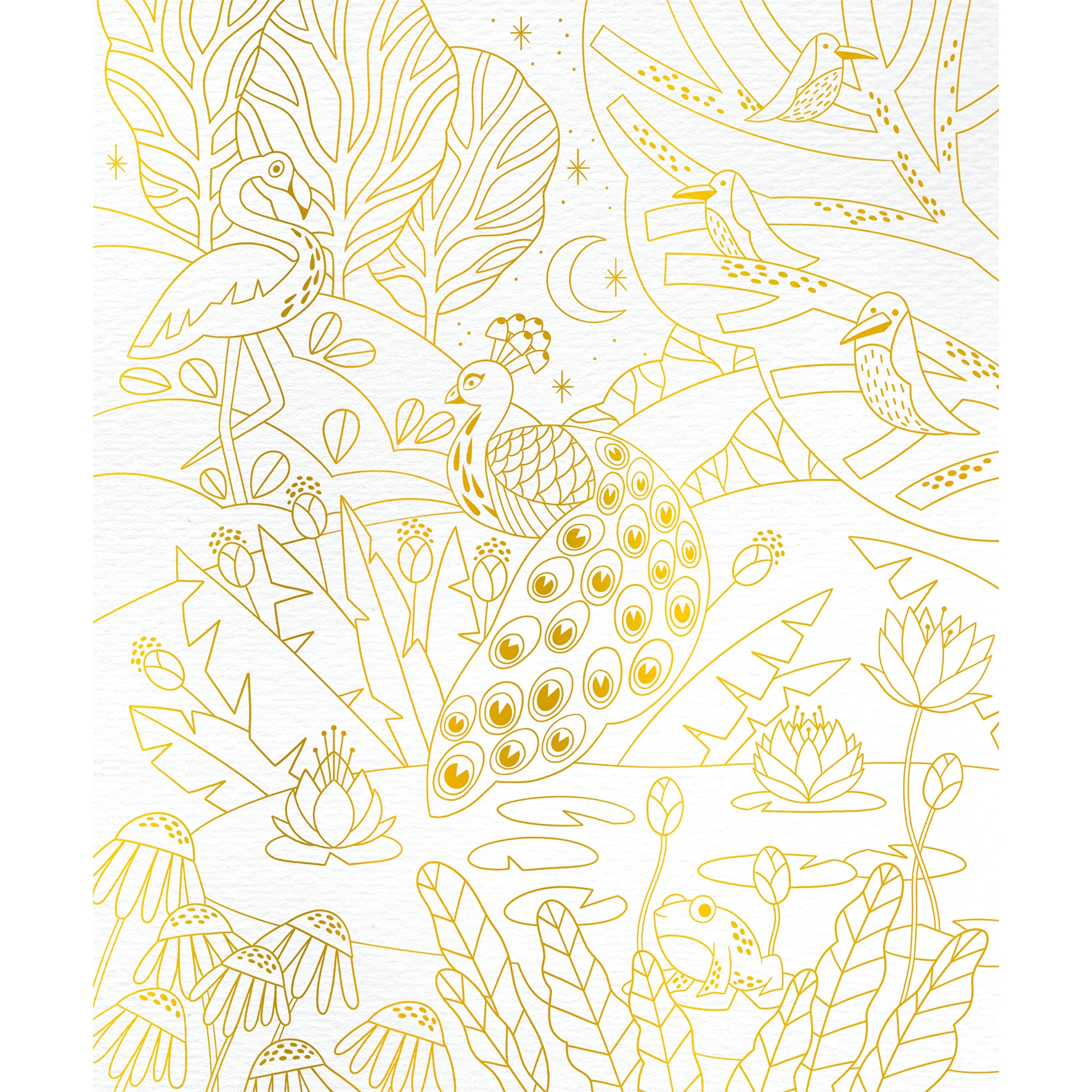 Set pictura cu acuarela Janod - Animale, 4 imagini - eMAG.ro