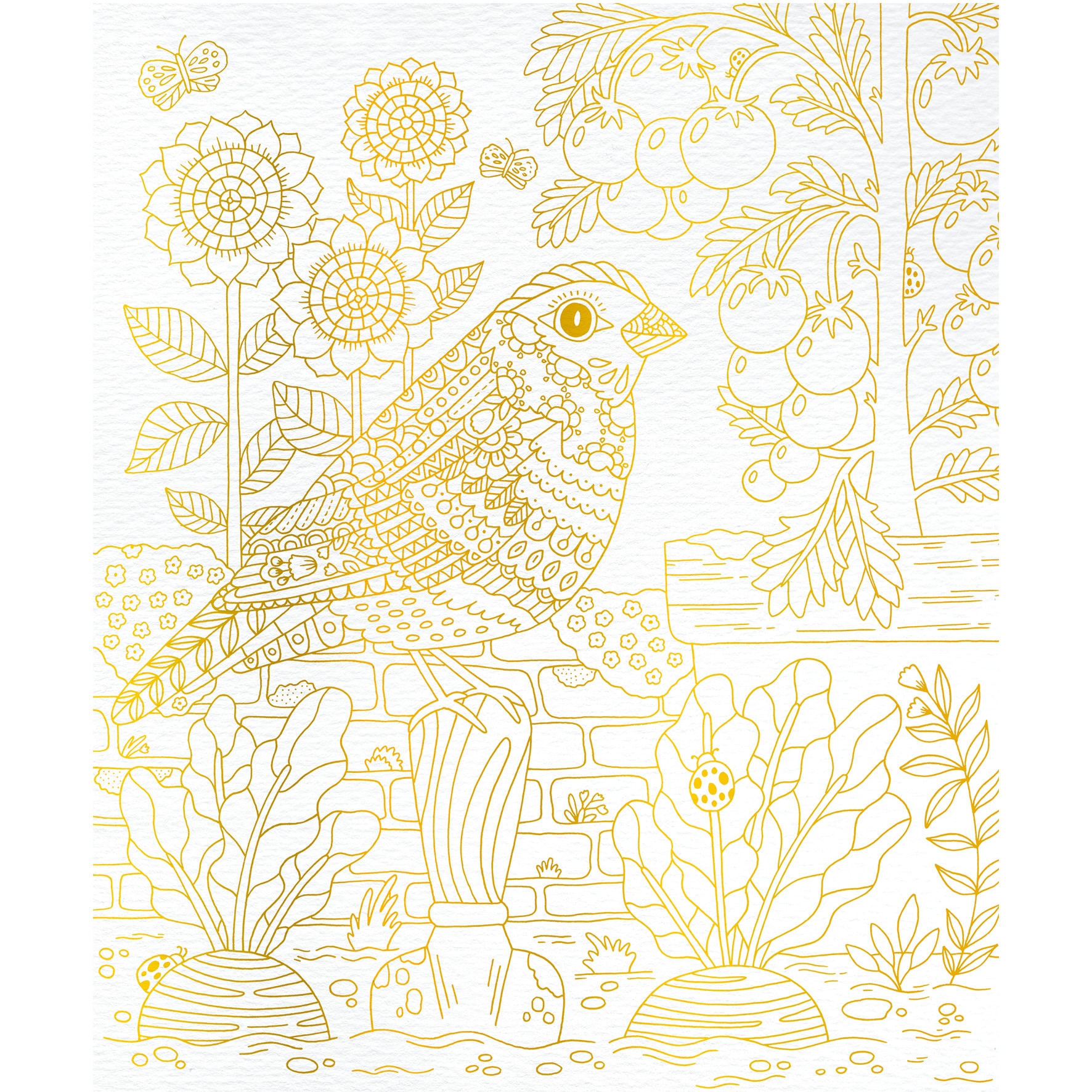 Set pictura cu acuarela Janod - Gradina, 4 imagini - eMAG.ro