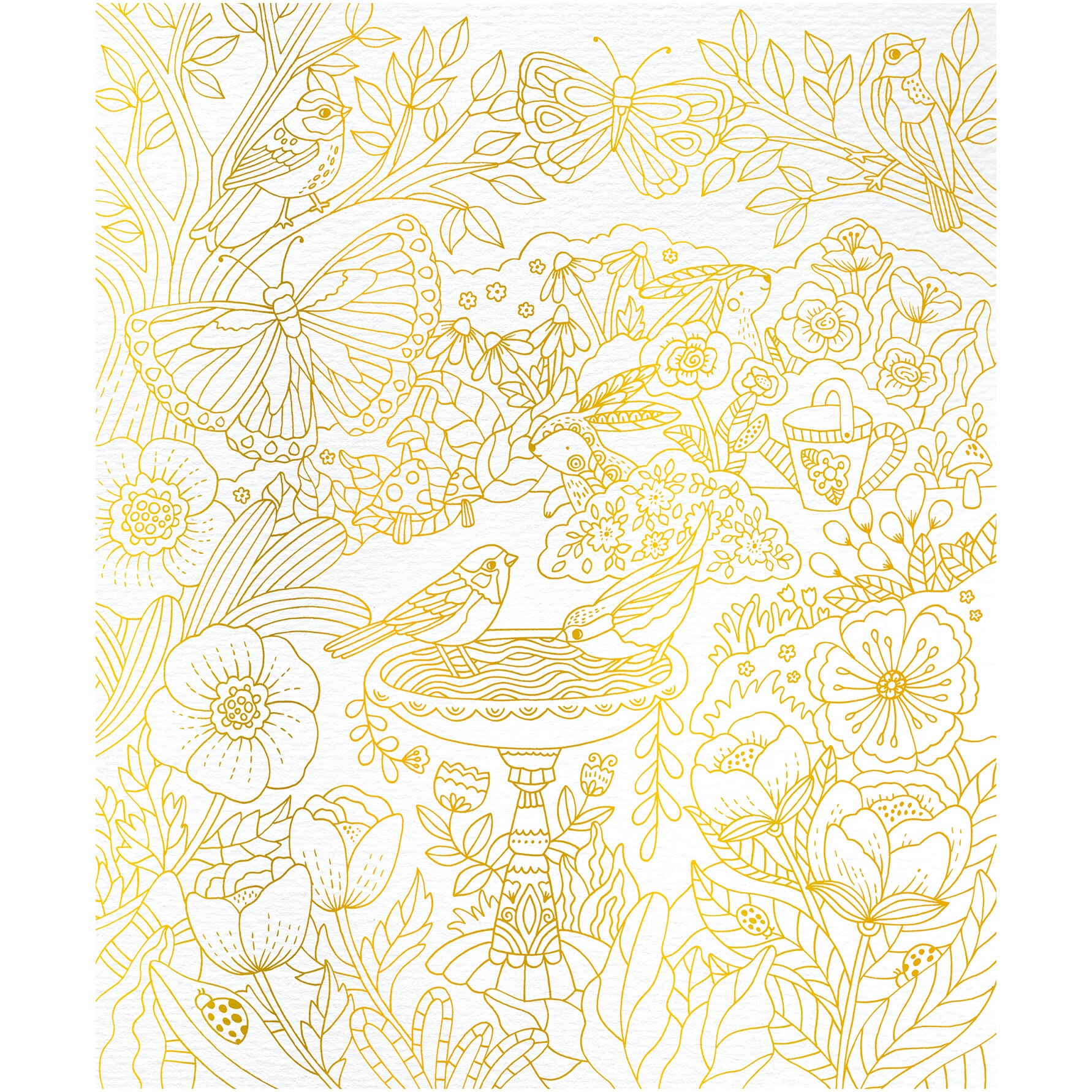 Set pictura cu acuarela Janod - Gradina, 4 imagini - eMAG.ro