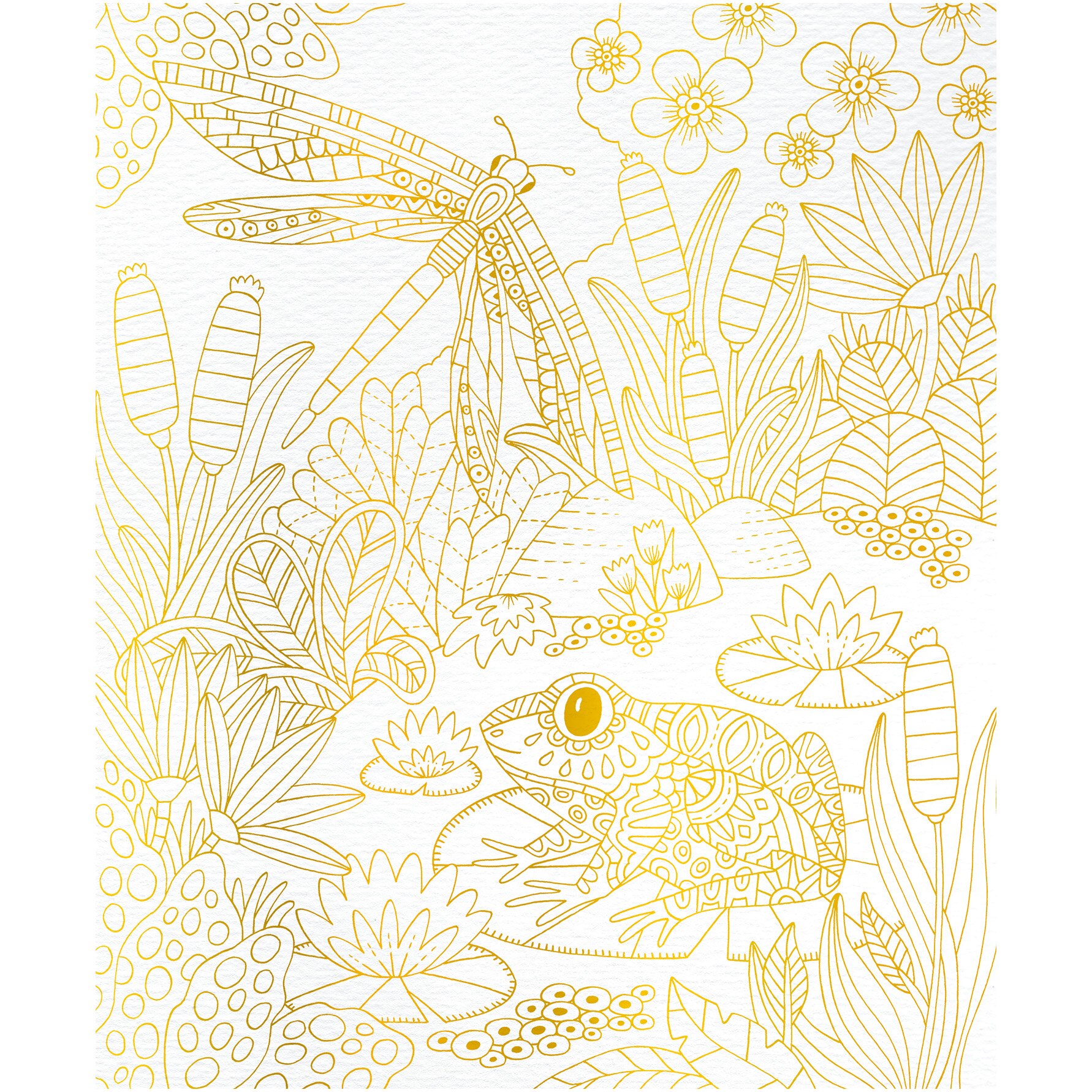 Set pictura cu acuarela Janod - Gradina, 4 imagini - eMAG.ro