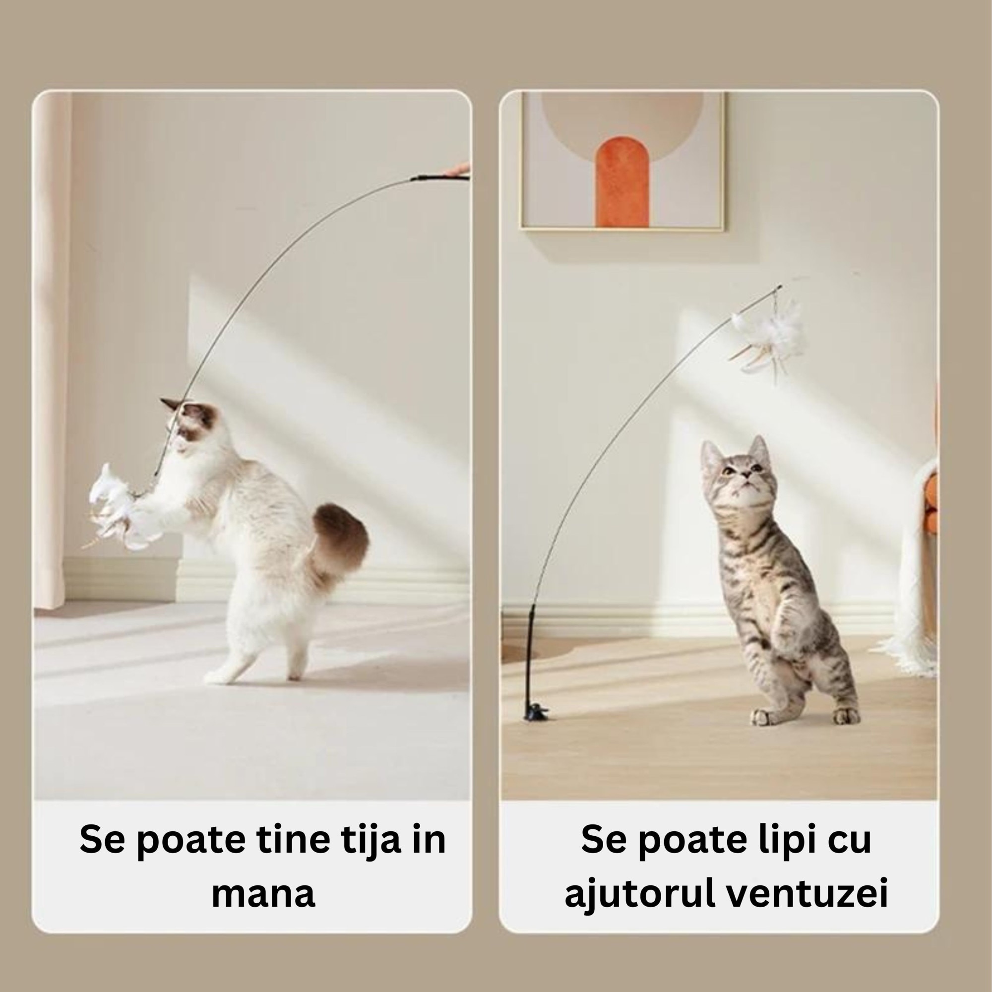 Jucarie Pisici - cu ventuza, pene colorate si clopotei, Tip Undita 90 ...