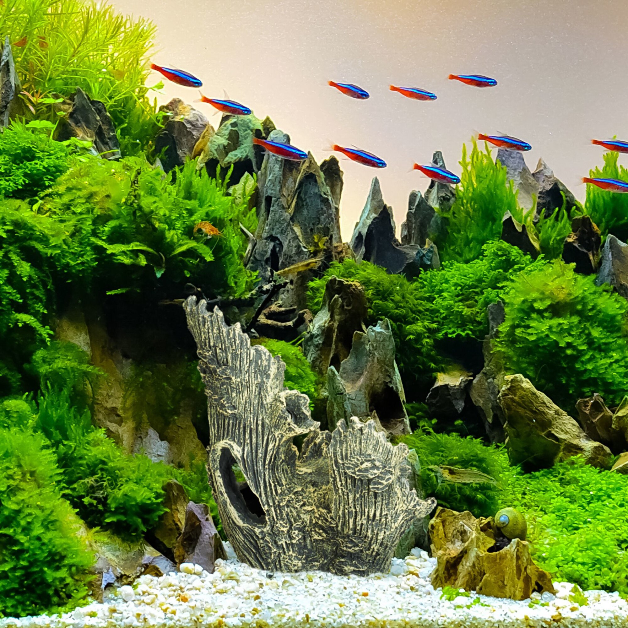 Decor acvariu, design trunchi de copac, 16,5 x 15 x 12 cm, verde/gri ...