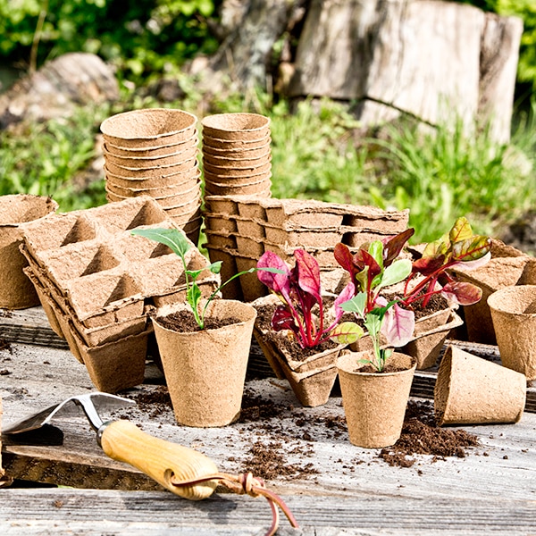 Set ghivece pentru rasaduri, Hydrostab, Turba, 12x17x5.5 cm, Maro - eMAG.ro