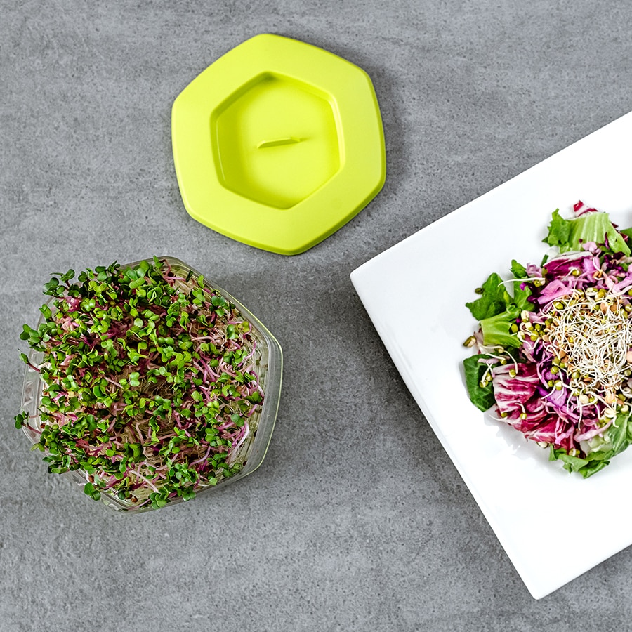 Съд за покълване на семена Hydrostab Mungo, 3 нива, Лесна експлоатация, 17х17х15,5 см, Цвят ...