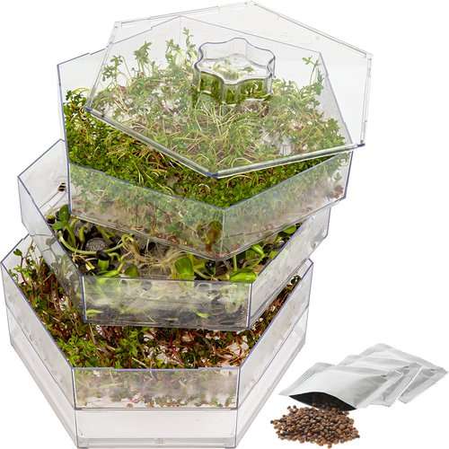 Germinator pentru seminte, Browin, Hexagon, Transparent, 17,5 x 20 x 18 ...