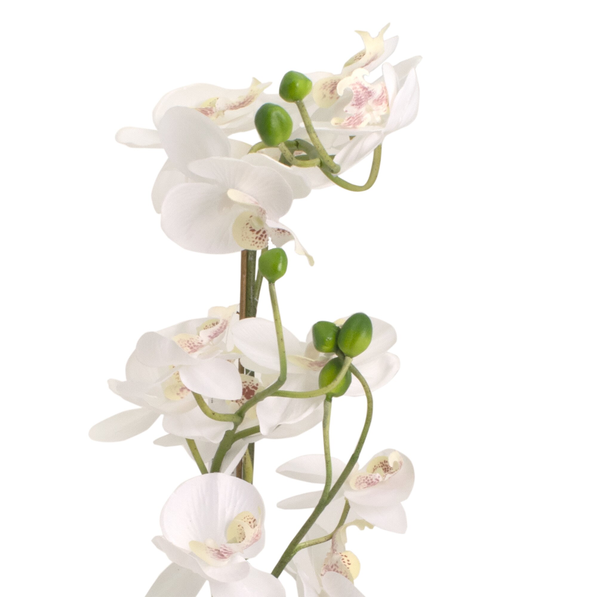 Floare Artificiala, Orhidee in Ghiveci, alba, 50 cm, Artfleur, 31464 ...