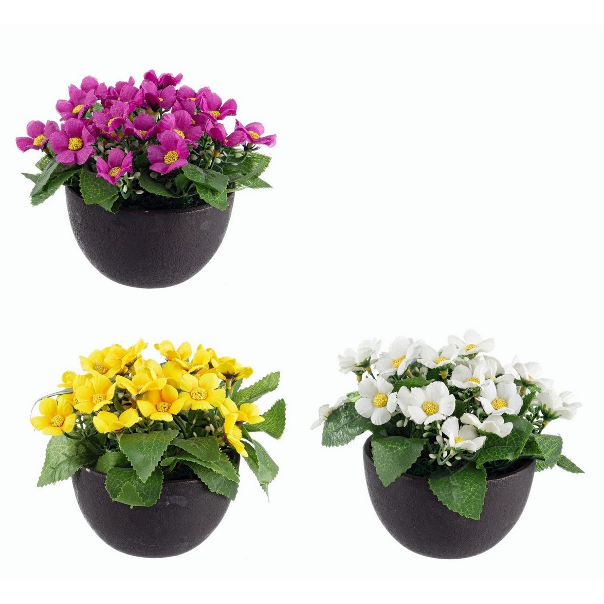 Set 3 flori in ghiveci Alisso, 8x8x16 cm - eMAG.ro