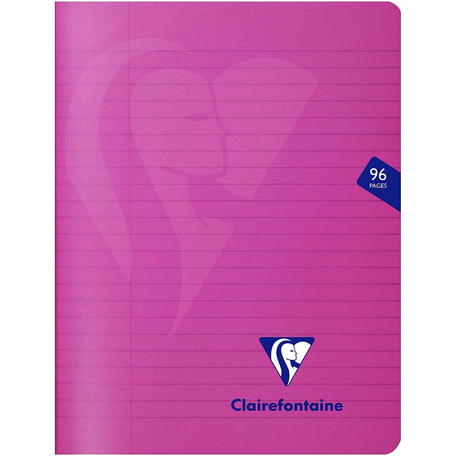 Caiet capsat A5+ Clairefontaine Mimesys, 48 file, 17 x 22 cm, Dictando ...