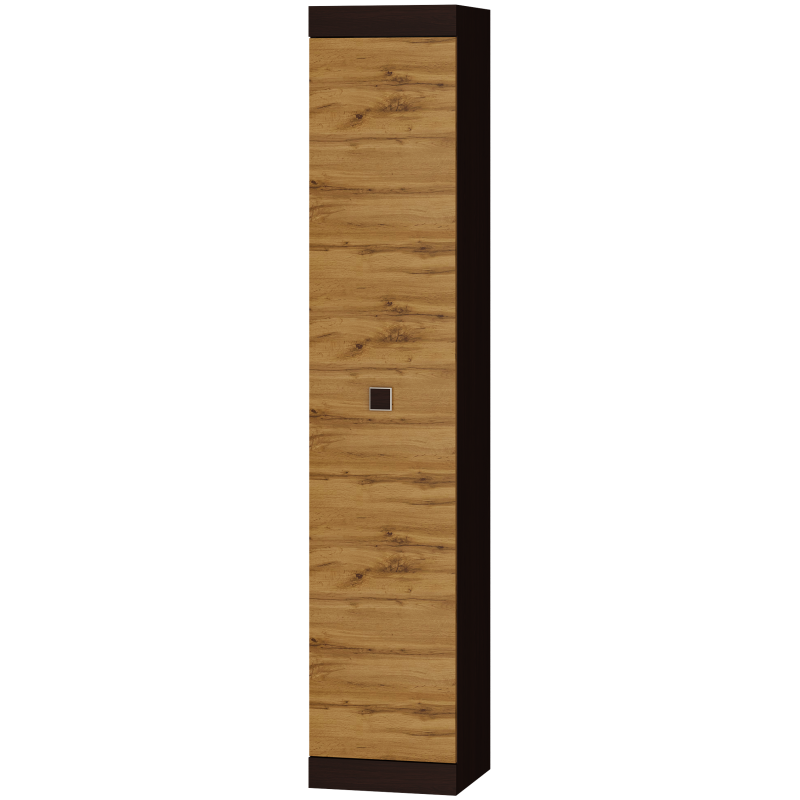 Dulap tip Soldat cu 1 usa Everest Sonata 400, Wenge inchis, stejar ...