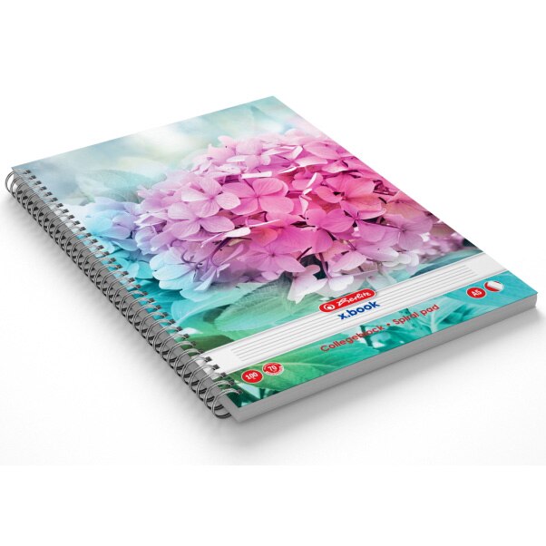 Set 5 Caiet Herlitz, A5, cu spira simpla, 100 file, 70g/mp, coperta ...