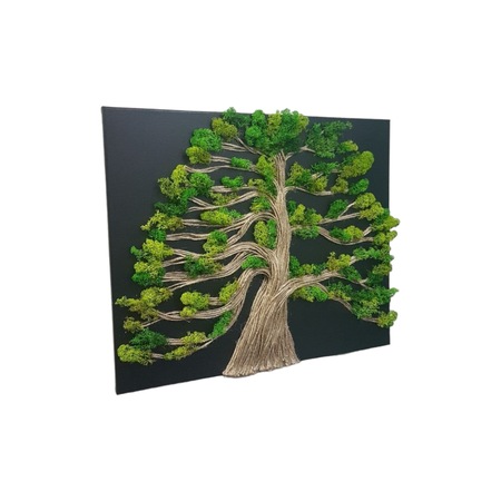 Tablou cu licheni naturali stabilizati Copac 3D, M2, 30X40 cm - eMAG.ro