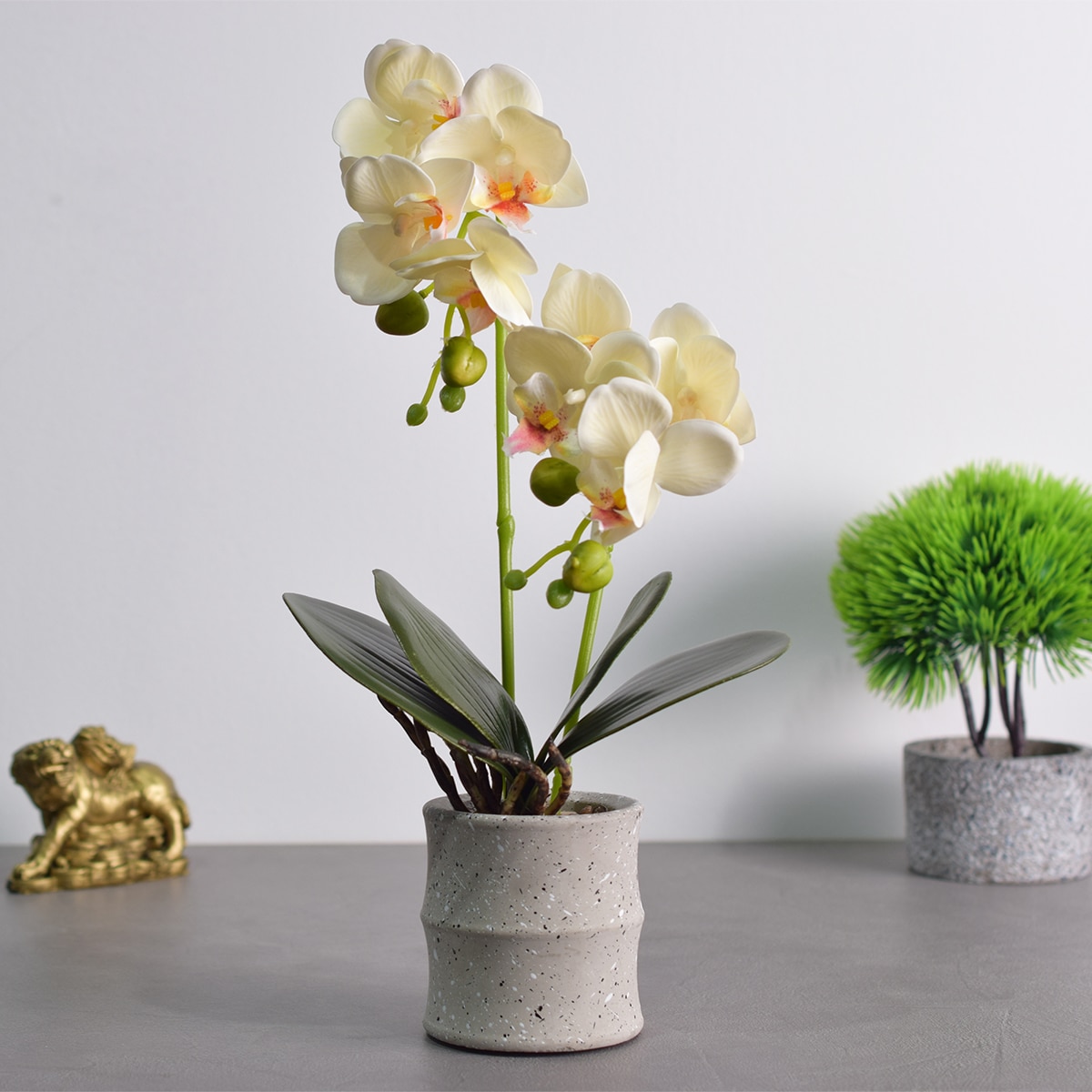 Orhidee cu aspect natural in ghiveci ceramic, 35 cm, Naimeed D4849 ...