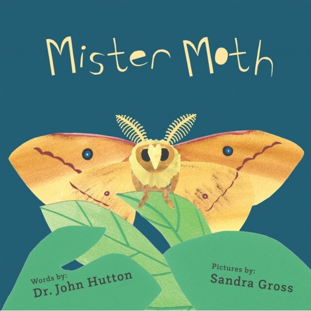 Mister Moth de John Hutton - eMAG.ro