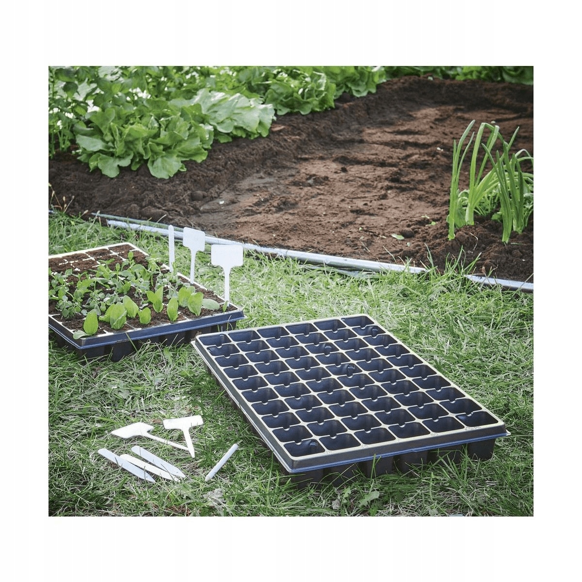 Set 30 placute pentru etichetarea plantelor si creion, Browin, Plastic ...