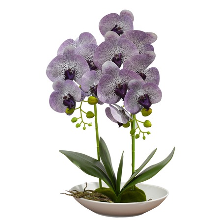 Orhidee cu aspect natural in ghiveci ceramic, 49 cm, Naimeed D4852, Mov ...