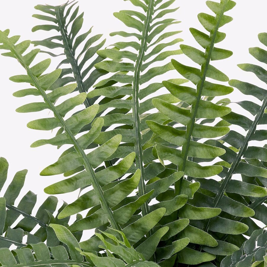 Planta artificiala, interior/exterior, feriga, Ø ghiveci 15 cm, OE296 ...