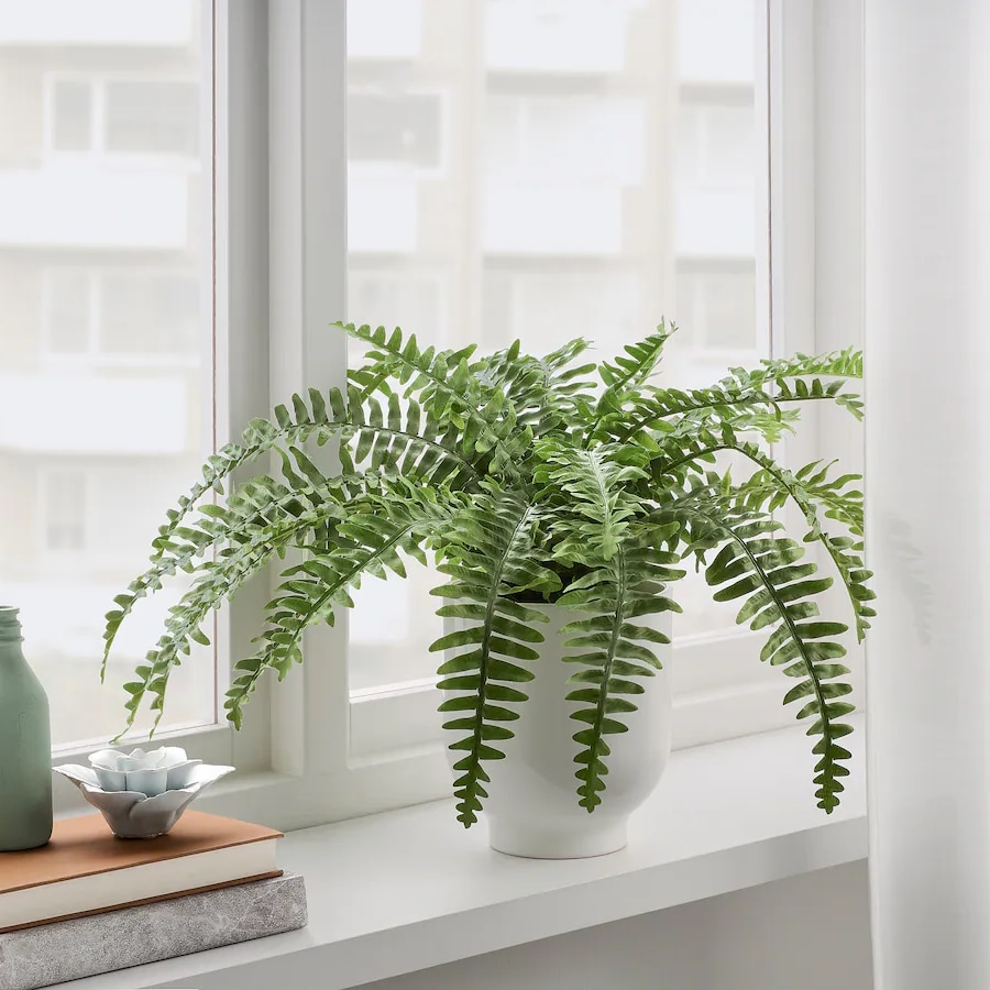 Planta artificiala, interior/exterior, feriga, Ø ghiveci 15 cm, OE296 ...