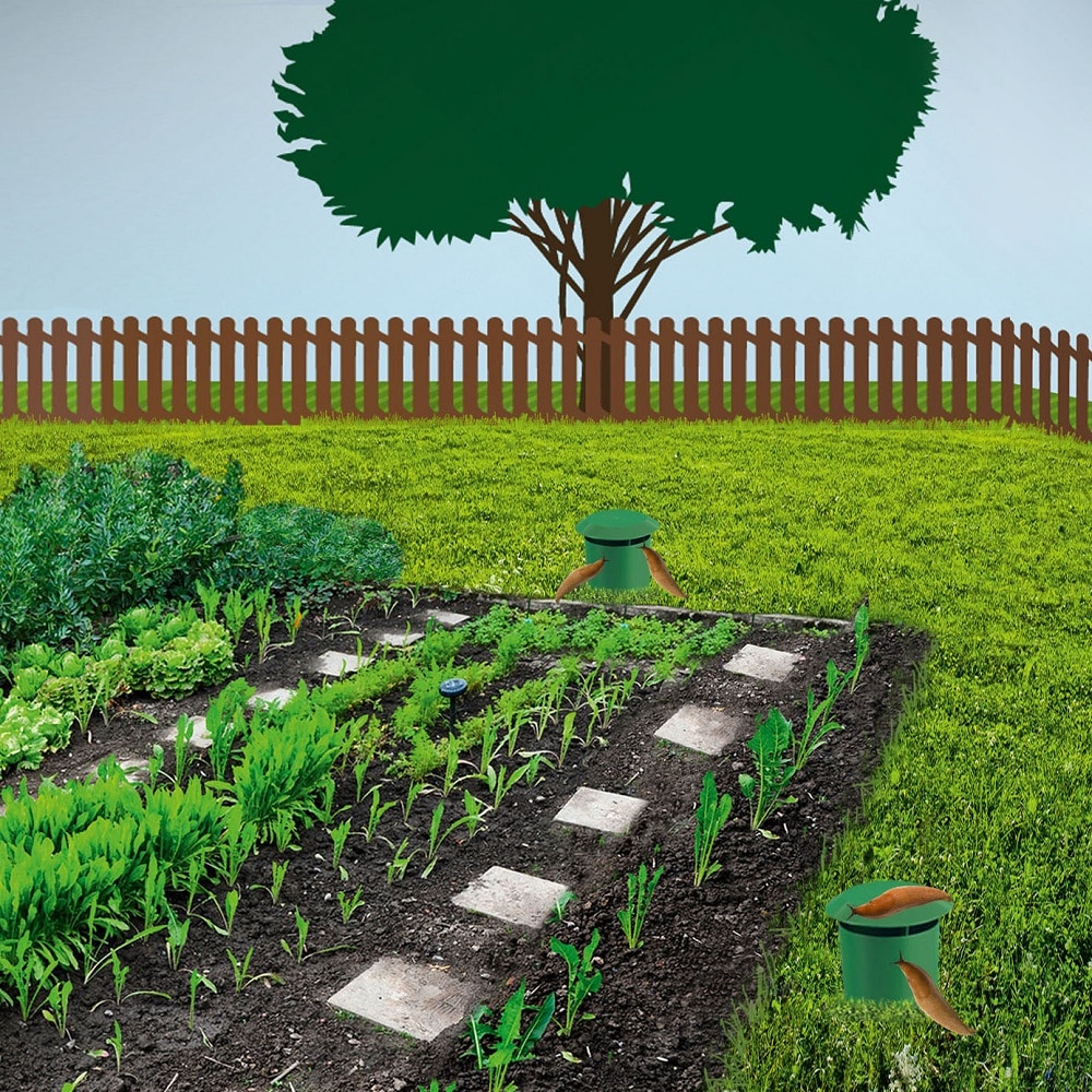 Set de 2 capcane anti melci de gradina Buha, melci fara cochilie, limax ...