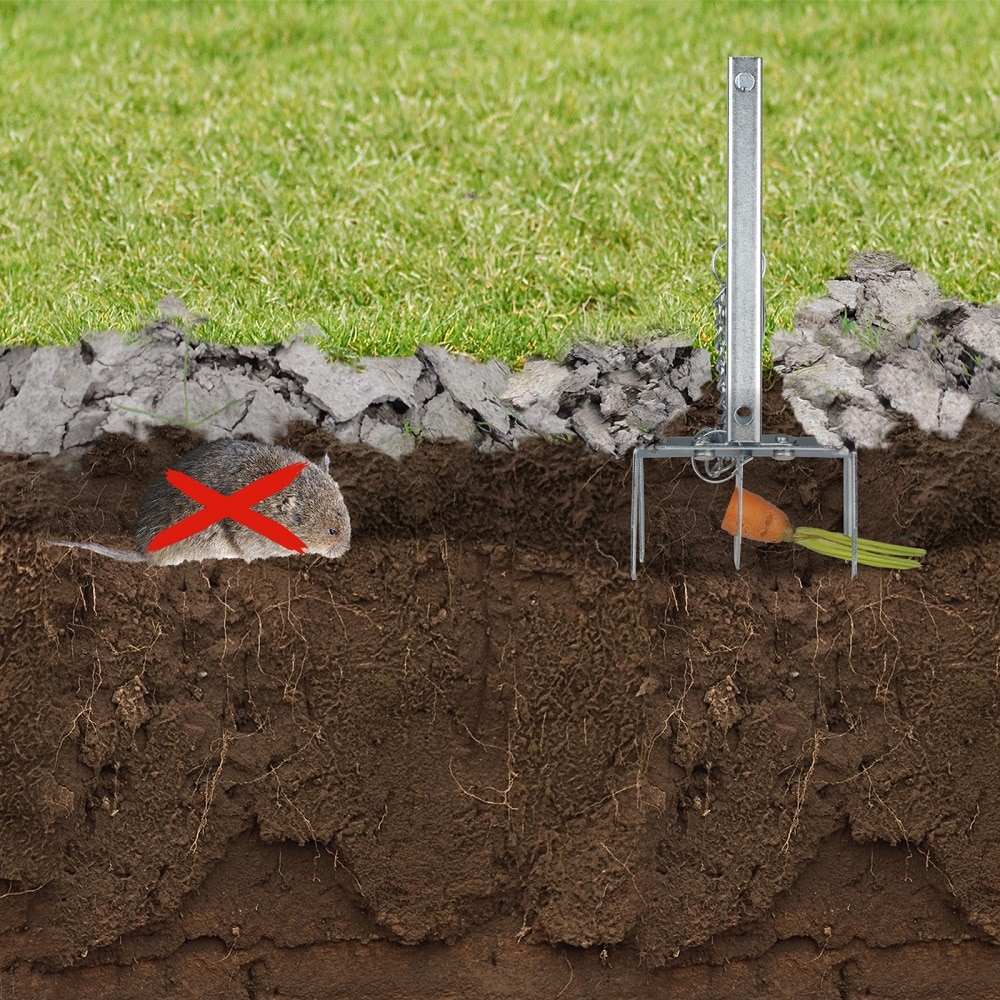 Capcana soareci de camp Buha, ultra-eficienta, 19 cm, putere mare de ...