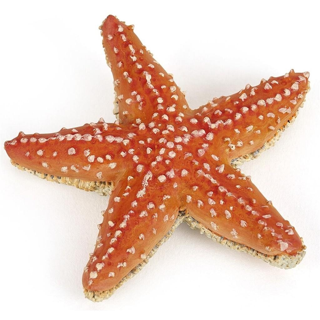Figurina stea de mare pentru copii, Papo, Plastic, 3+, Multicolor - eMAG.ro