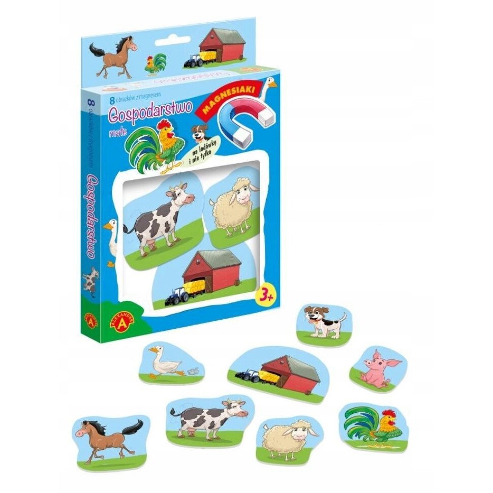 Set magneti Alexander, Carton, 3 ani+, Multicolor - eMAG.ro