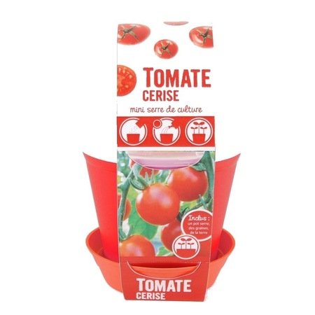 Ghiveci cu capac in forma de clopotel si seminte rosii cherry - eMAG.ro