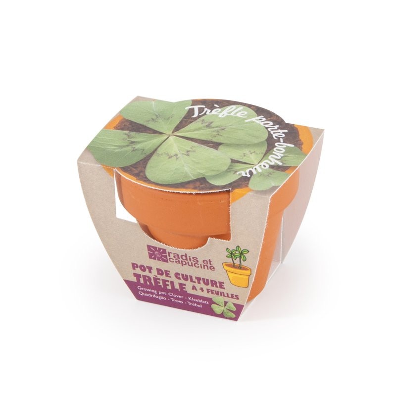 Mini ghiveci de teracota cu seminte de trifoi - eMAG.ro