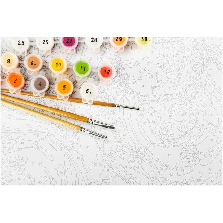 Set de Pictura cu Numere, 40x50cm, Fara cadru, W4208 - eMAG.ro