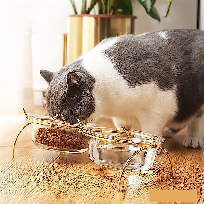Set doua boluri de sticla inclinate Happy Meow pentru pisici, baza ...