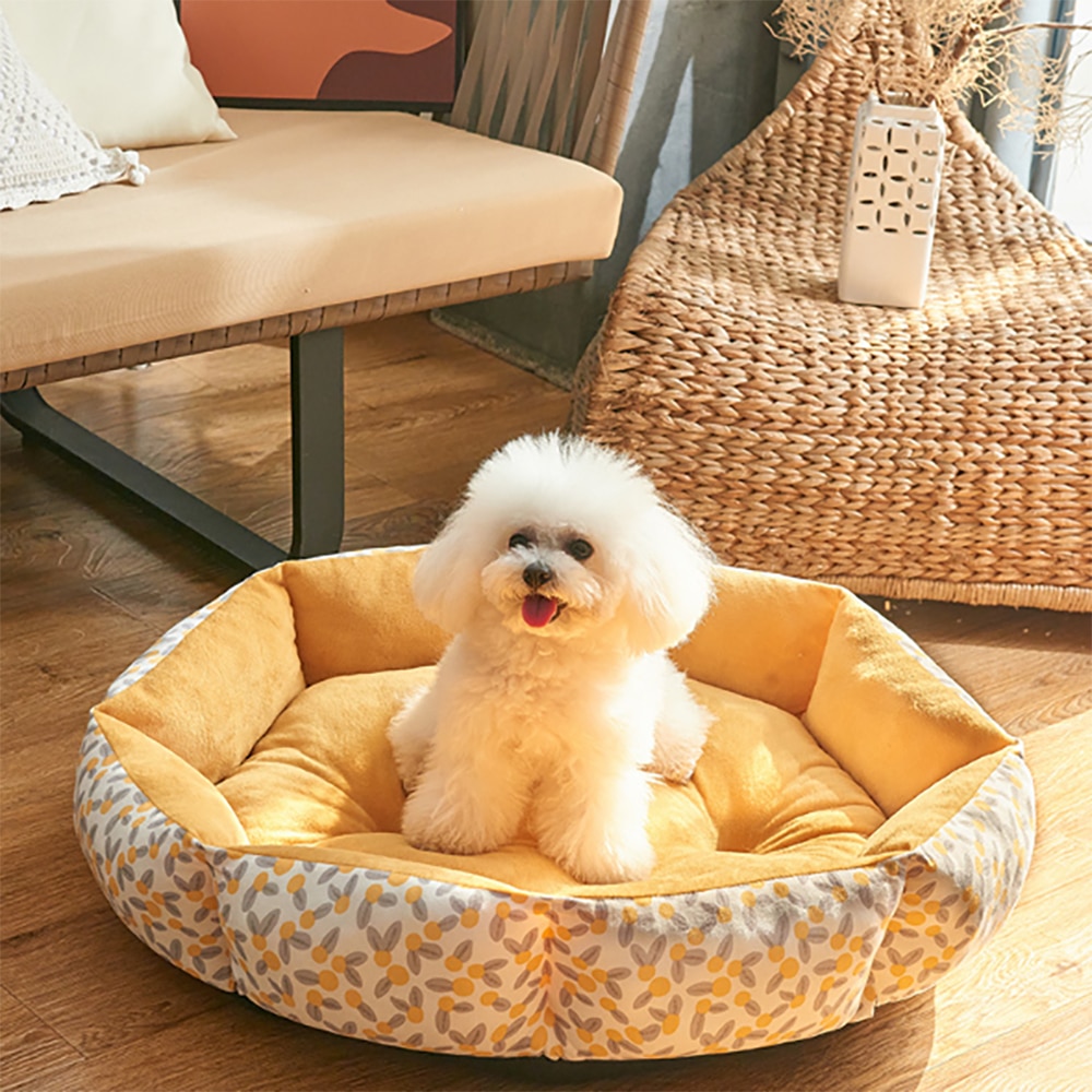 Pat pentru caini si pisici, FreeBiz®, 48cm, Galben - eMAG.ro