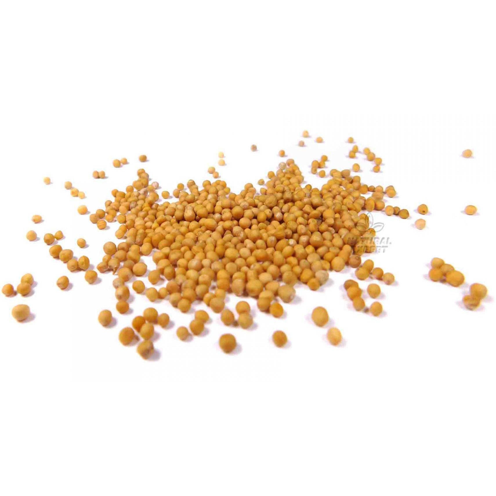 Mustar boabe alb, Natural Expert, 5kg - eMAG.ro