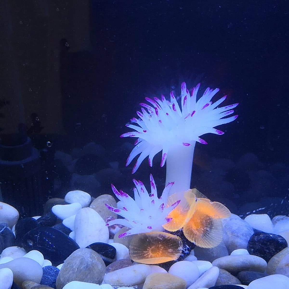 Set 2 plante decorative acvariu, Plastic, Multicolor - eMAG.ro