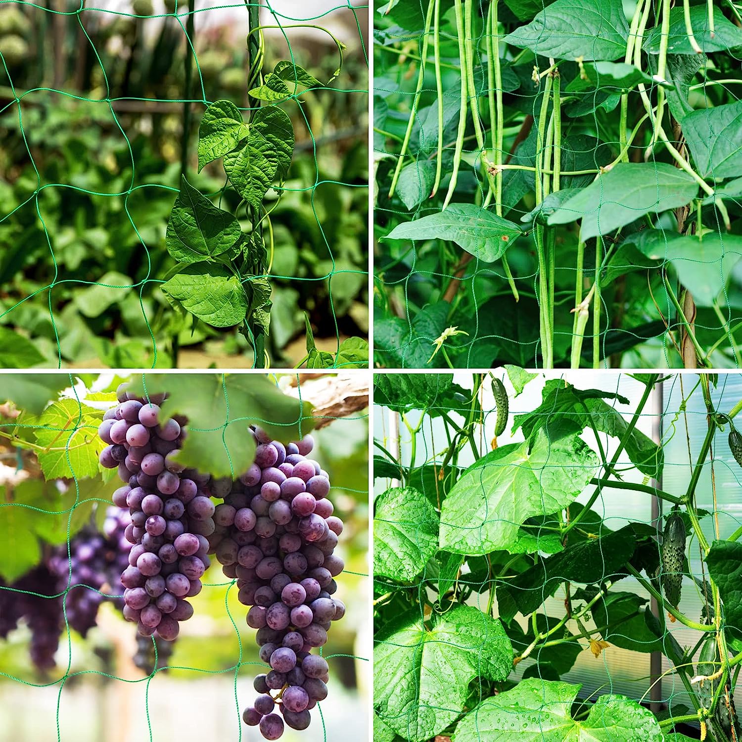 Spalier de gradina, Polietilena, 1.8 x 5 m, Verde - eMAG.ro