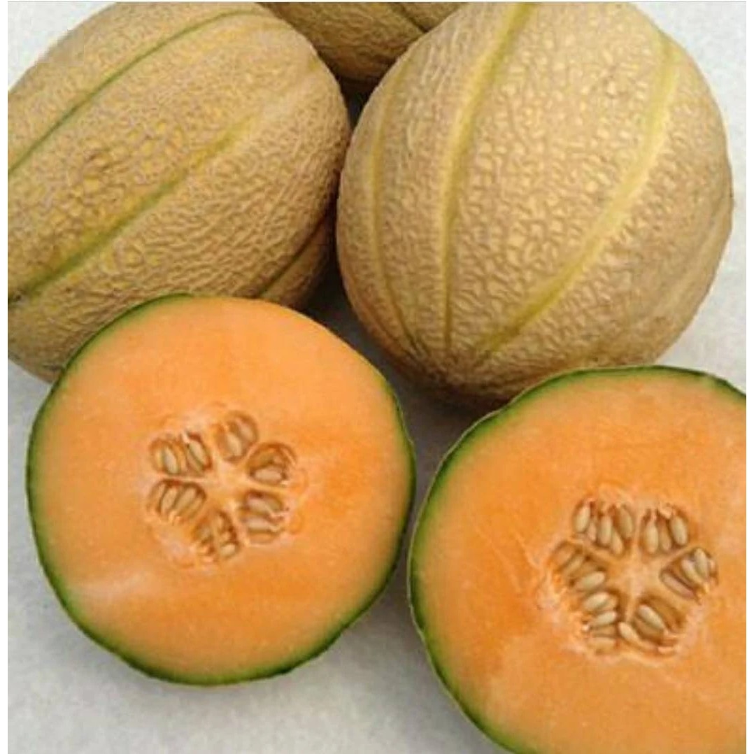 Ulei odorizant Pepene Galben pentru aromoterapie, 10ml, Solaris Plant ...