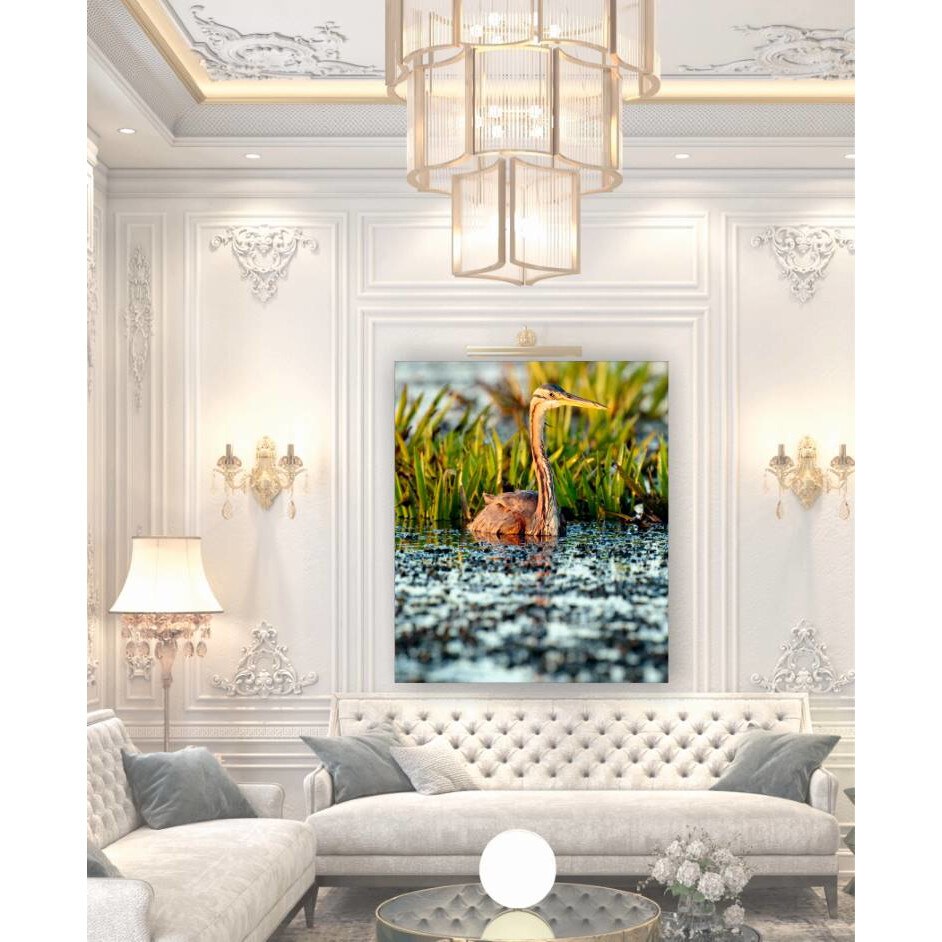 Vászonfestmény - Lila gólya madár táj Duna-delta Románia, 80 x 120 cm ...