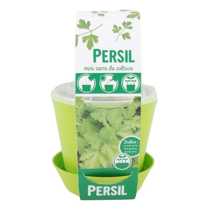 Ghiveci cu capac in forma de clopotel si seminte de patrunjel - eMAG.ro